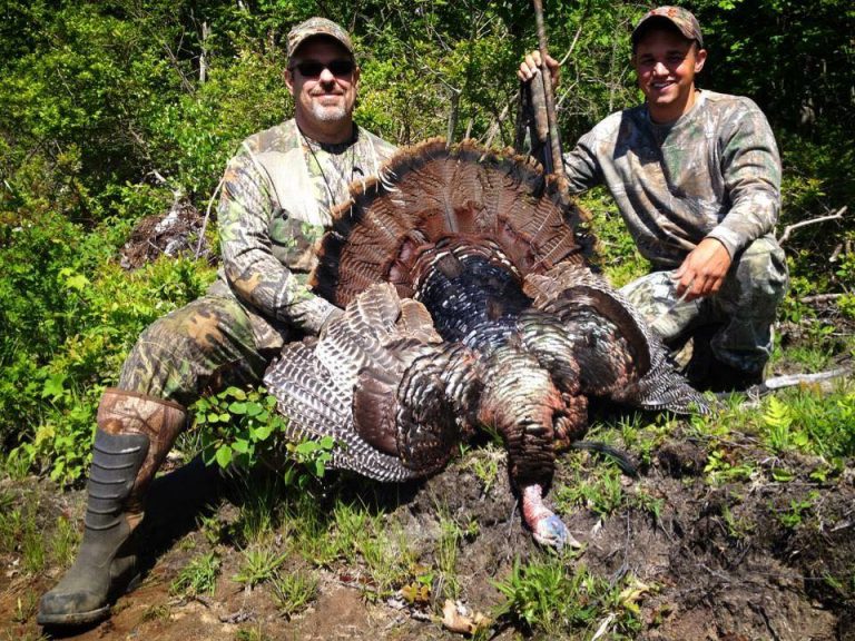 Guided New York Turkey Hunt - Eastern View Outfitters