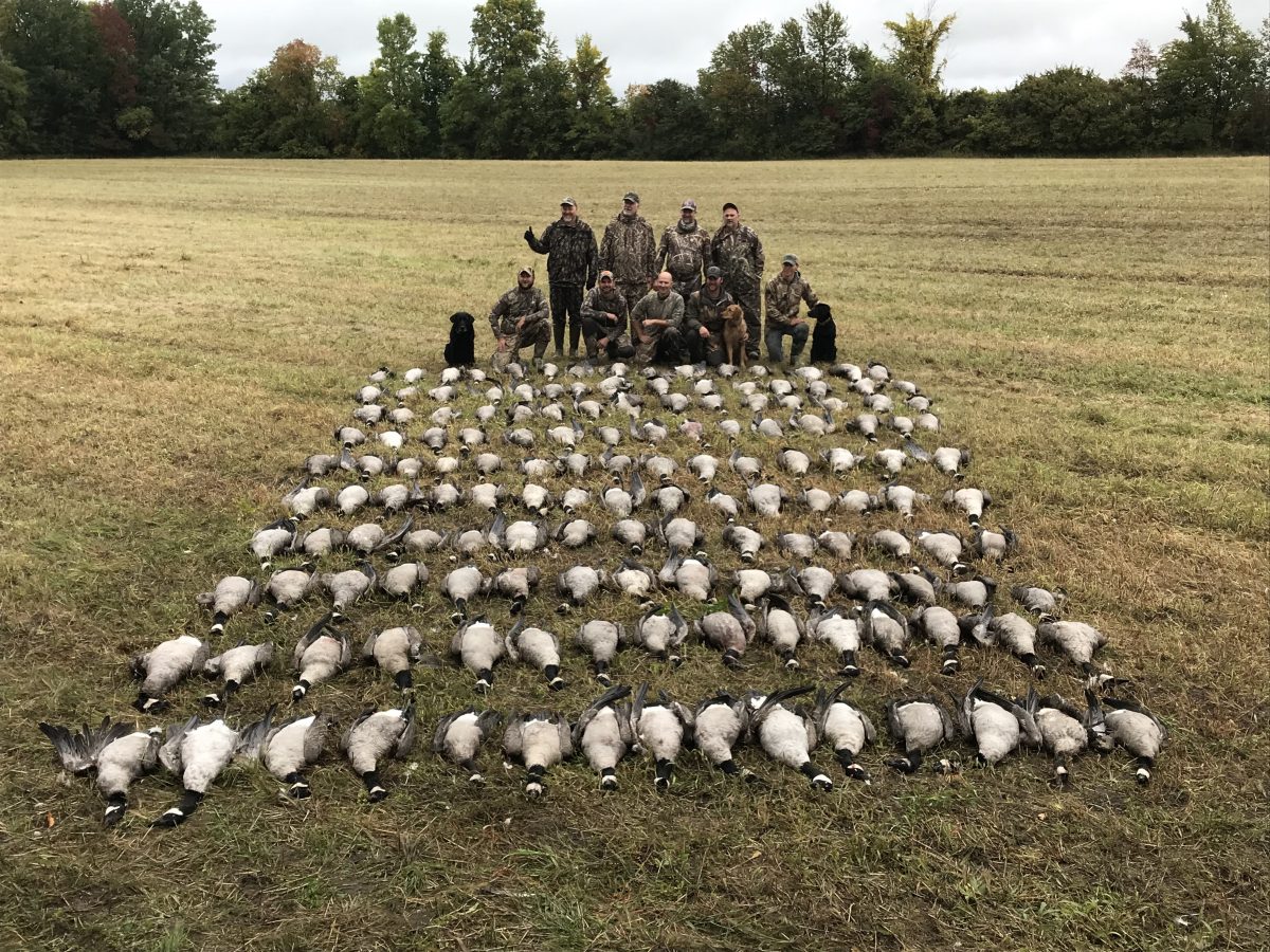 Fall Guided Canada Goose & Duck Hunts in NY & VT in the Atlantic Flyway ...
