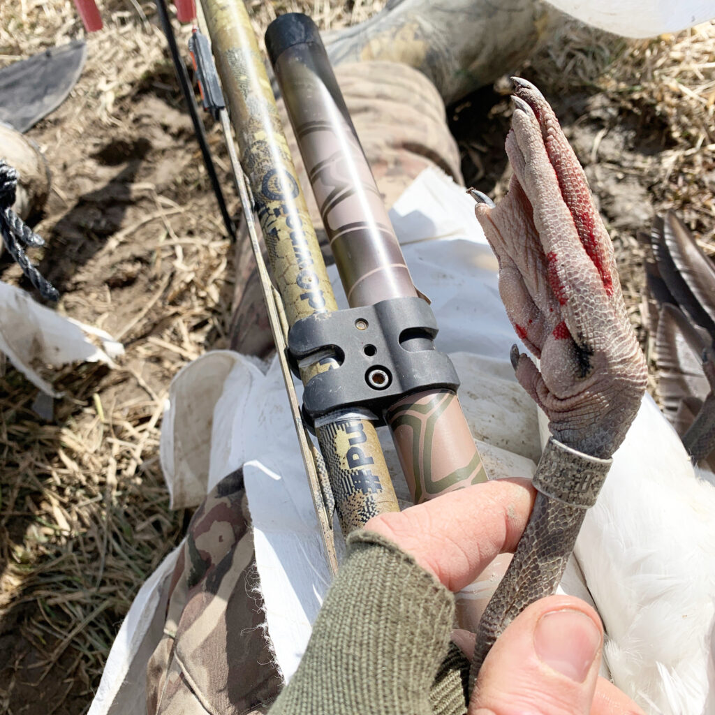 Snow Goose Hunting in New York-Fall & Spring Hunts (October-April ...