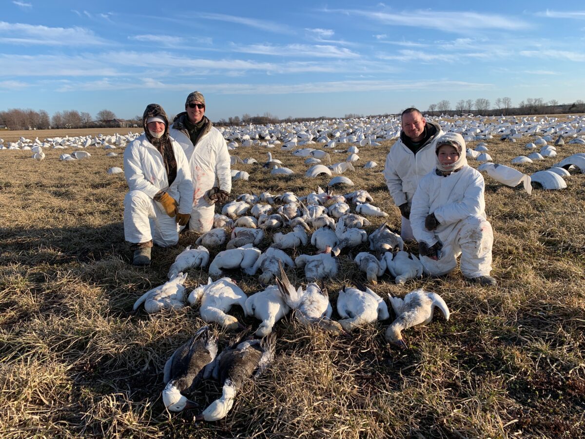 Snow Goose Hunting in New York-Fall & Spring Hunts (October-April ...